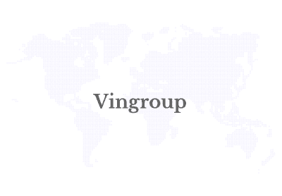Vingroup and VinFast successfully raised the first international green ...