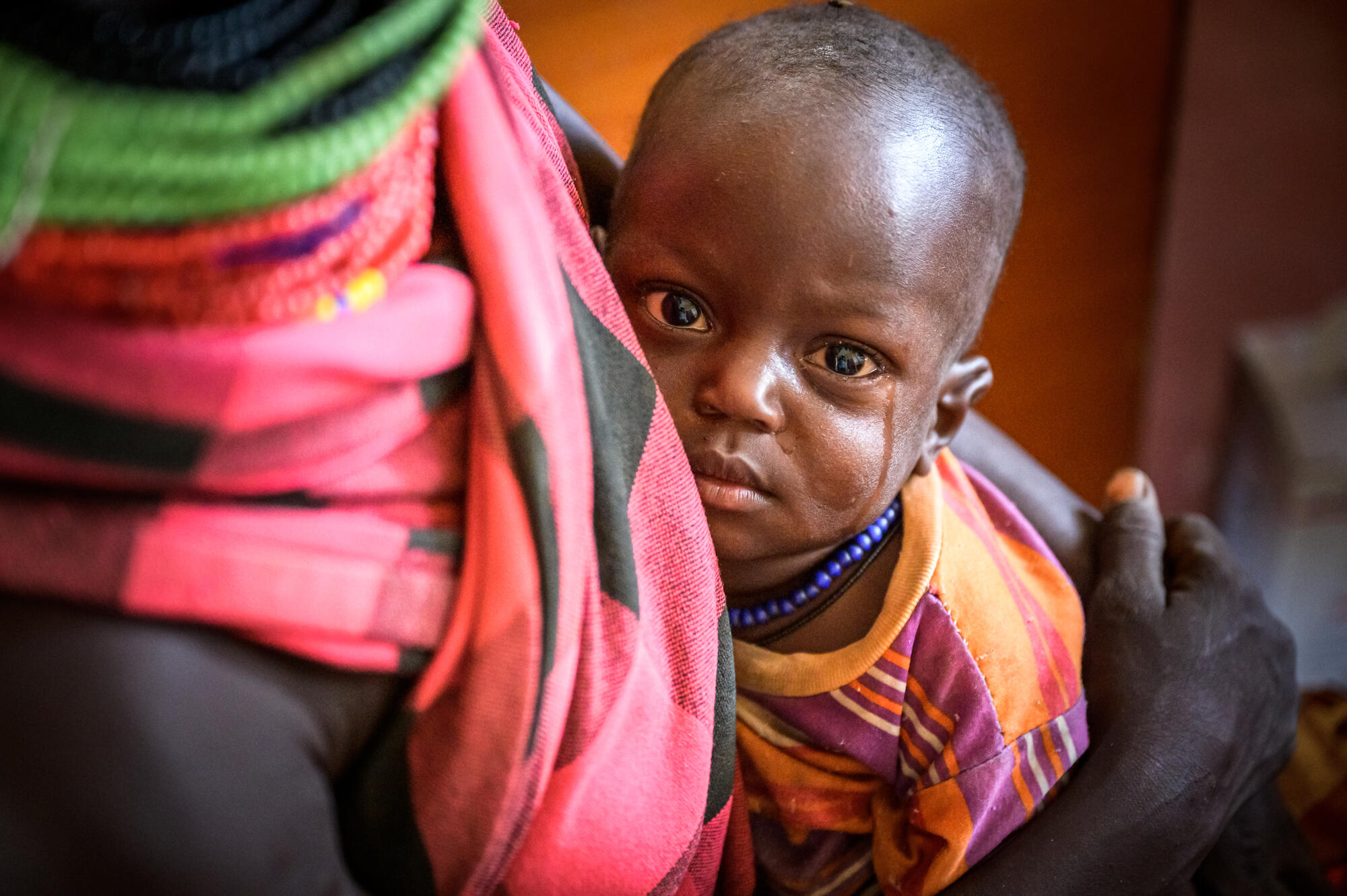 Immediate action needed to protect children from the global hunger ...