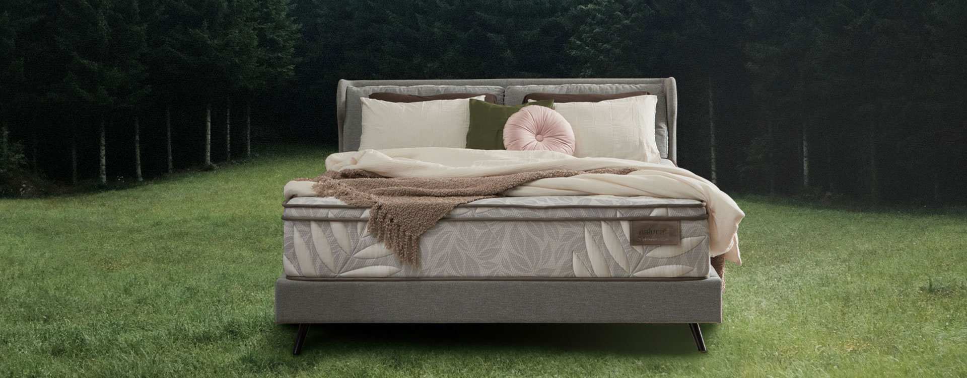 Let Nature in This World Sleep Day in Singapore With Cellini’s ...