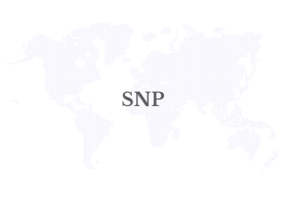 SNP expands partnership with SAP - European Business & Finance Magazine